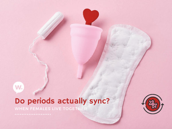 Can Periods of Two Women Actually Sync? Notion Behind 'Period Syncing ...